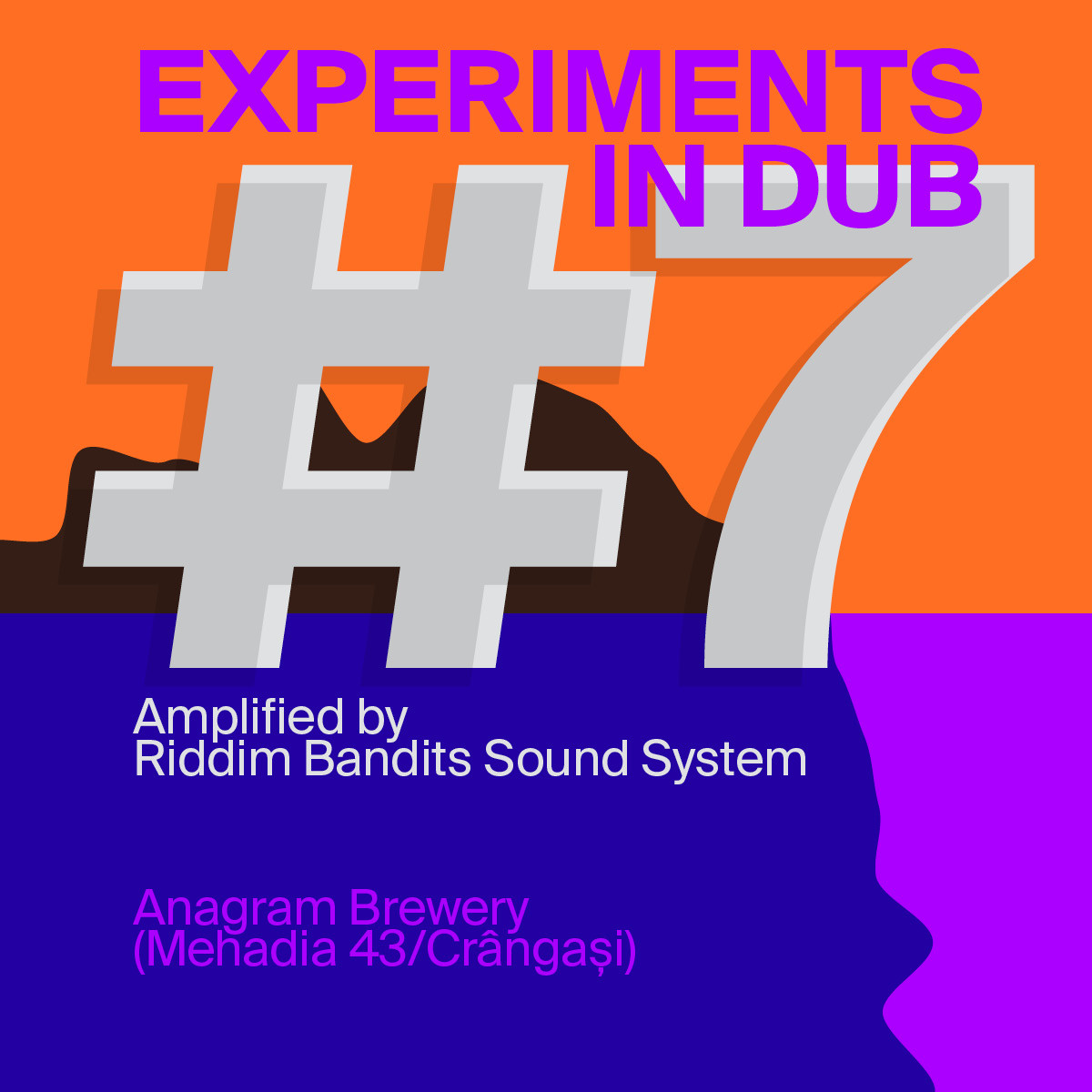 Experiments In Dub - Black Rhino Radio